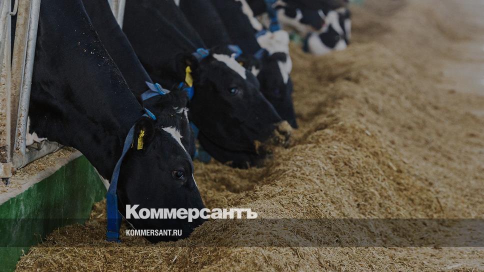 370 тонн комбикормов экспортировали из Удмуртии в Белоруссию и ...